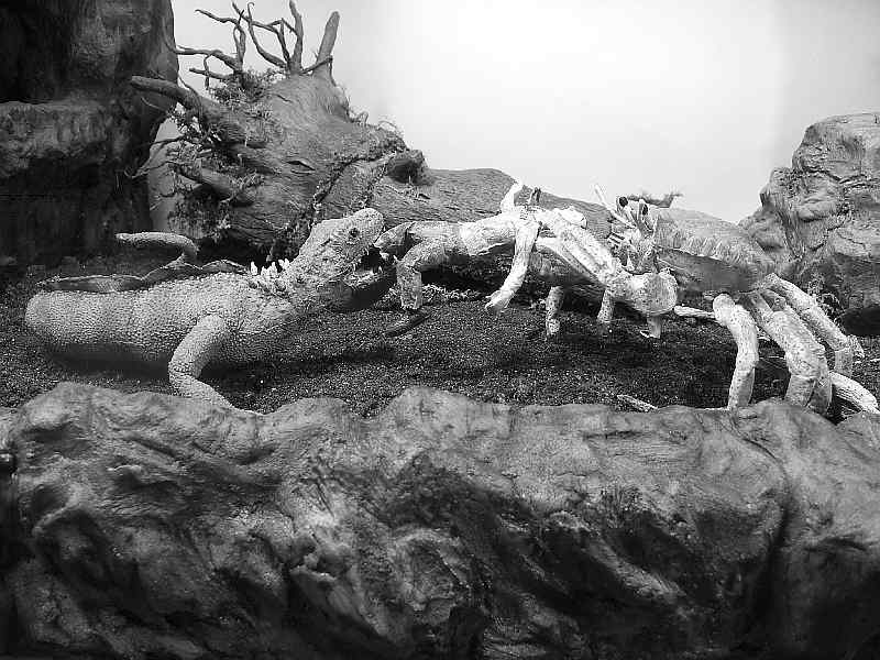 Blacknick Sculpture: Kong Spider Pit Finished