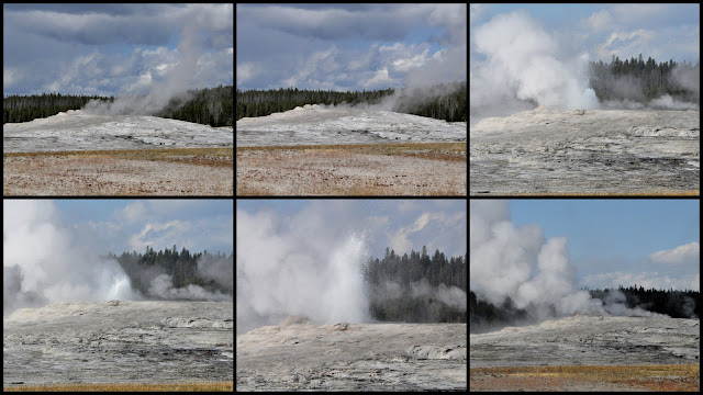 Red-shouldered Hawks of Tingsgrove and Beyond: Yellowstone...Largest ...