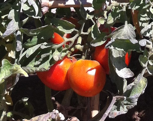 Manuel Velasco Carretero - Economía - Derecho - Empresa: septiembre 2007