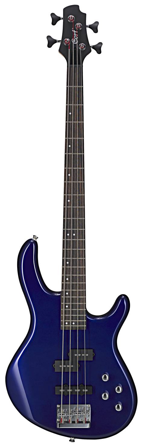 Bas gitar hakkında bilgi sunan blog: Bas gitar bölümleri