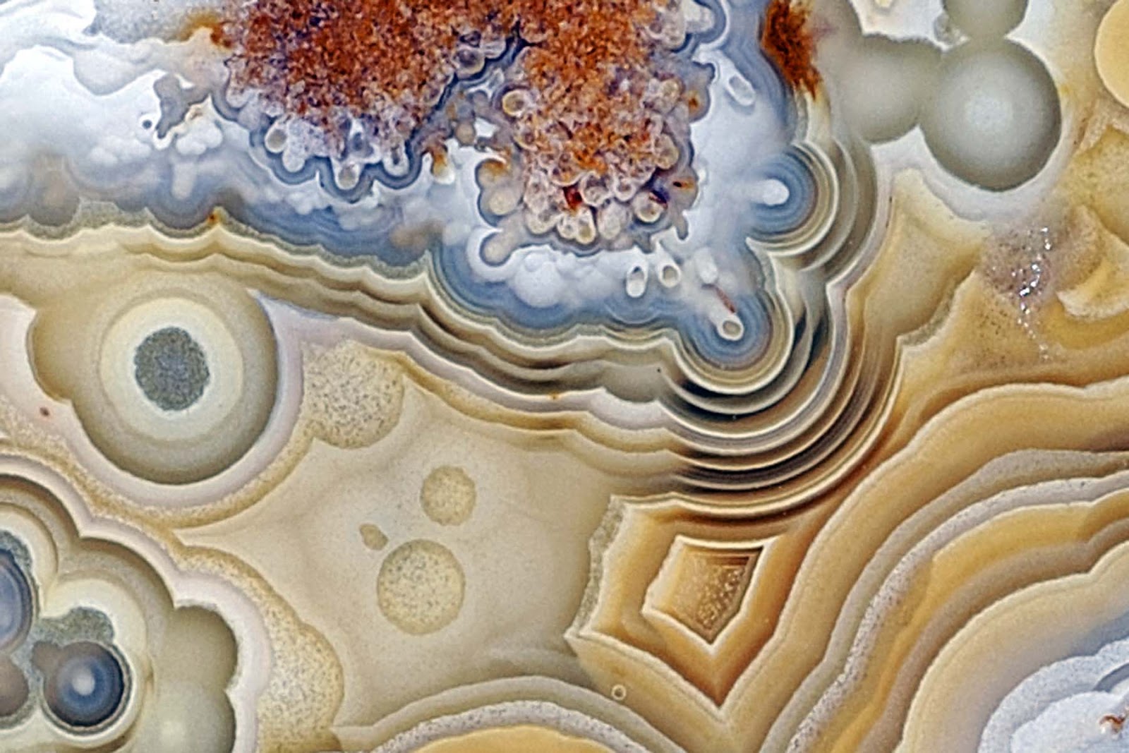 The Agatelady: Adventures and Events: Favorite Agate Close Ups