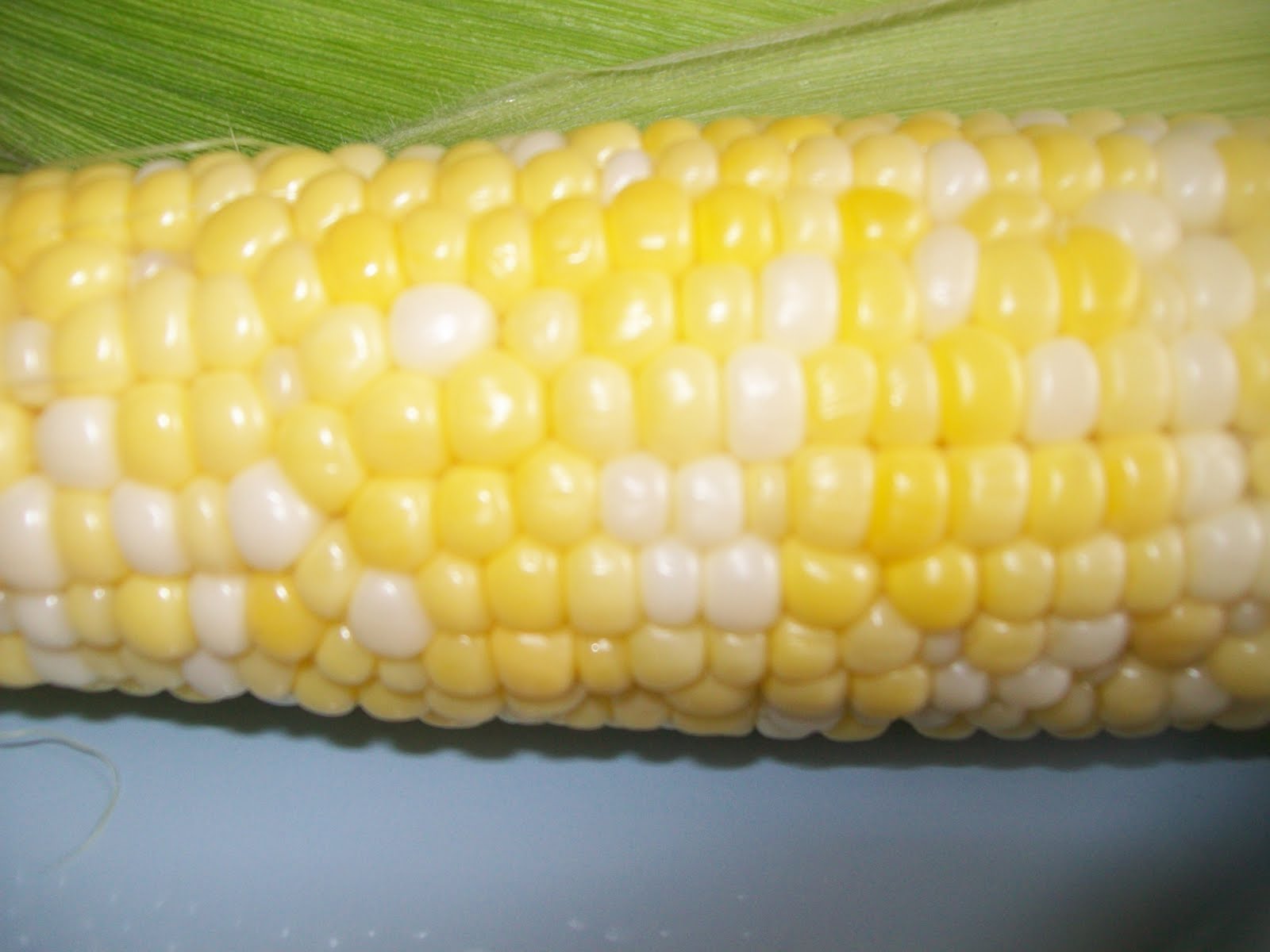 Michigan Cottage Cook: MISSISSIPPI CORN COOKING FOR 2 OR 3