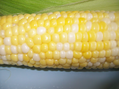 Michigan Cottage Cook: MISSISSIPPI CORN COOKING FOR 2 OR 3