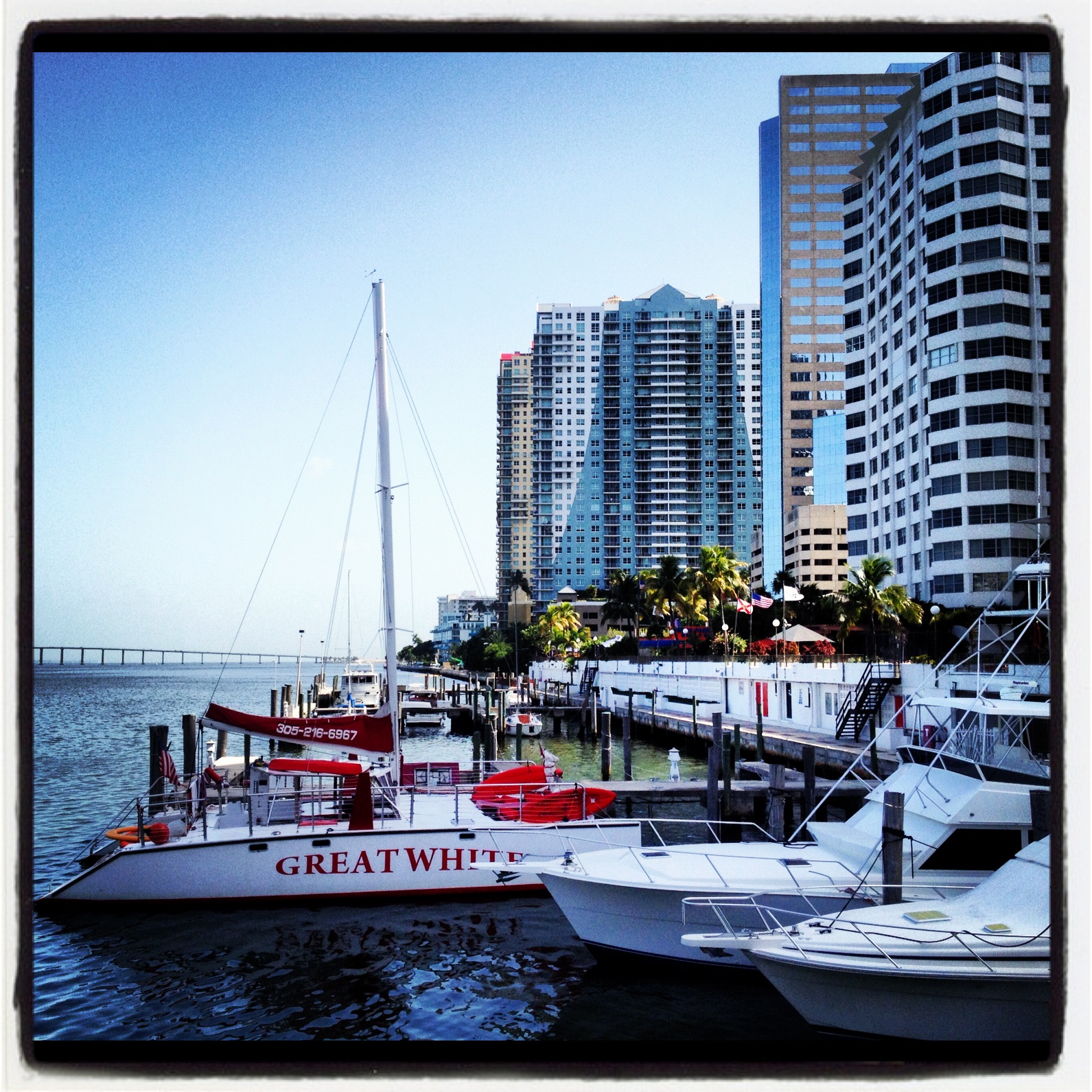Miami Insider: Taking a Walk Around Brickell