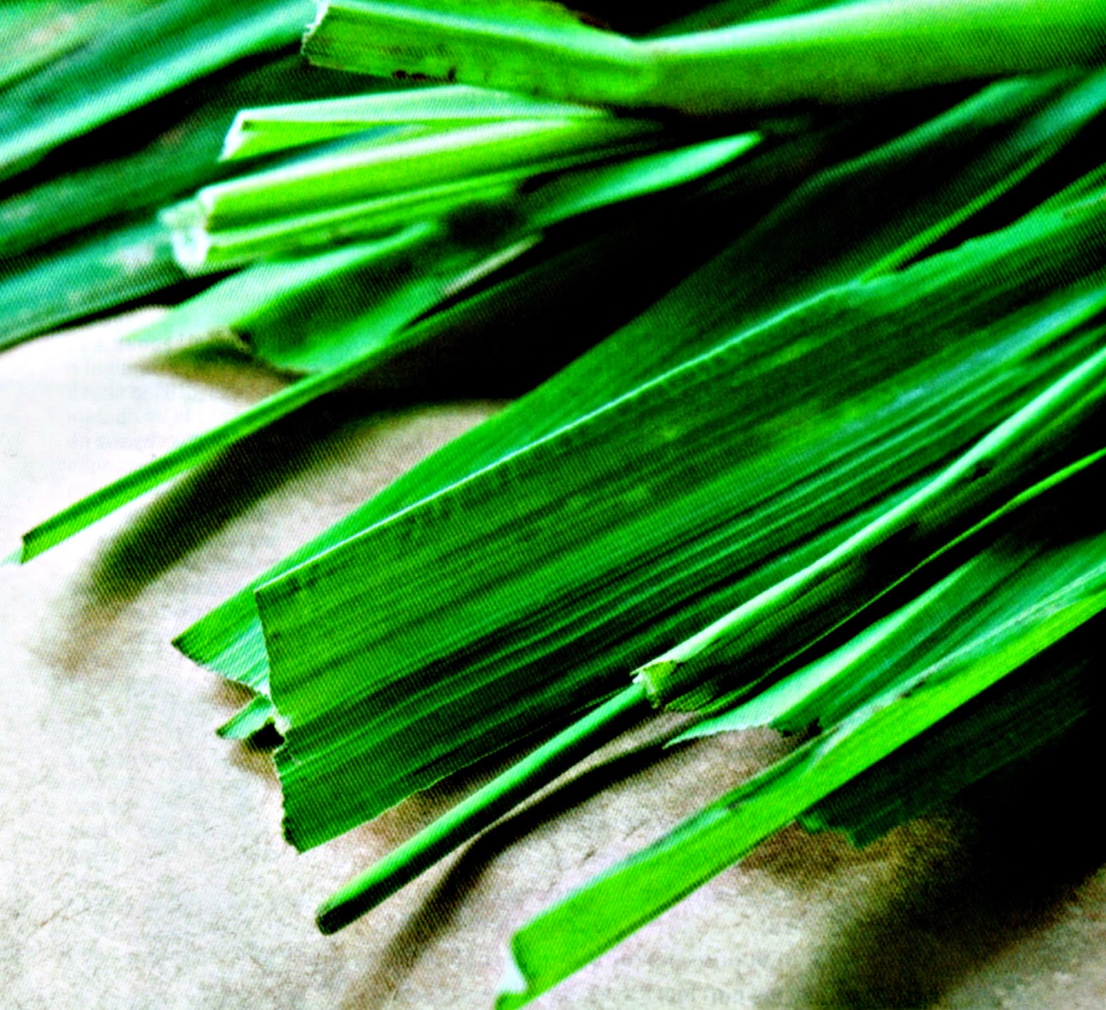 Limoncillo y sus propiedades