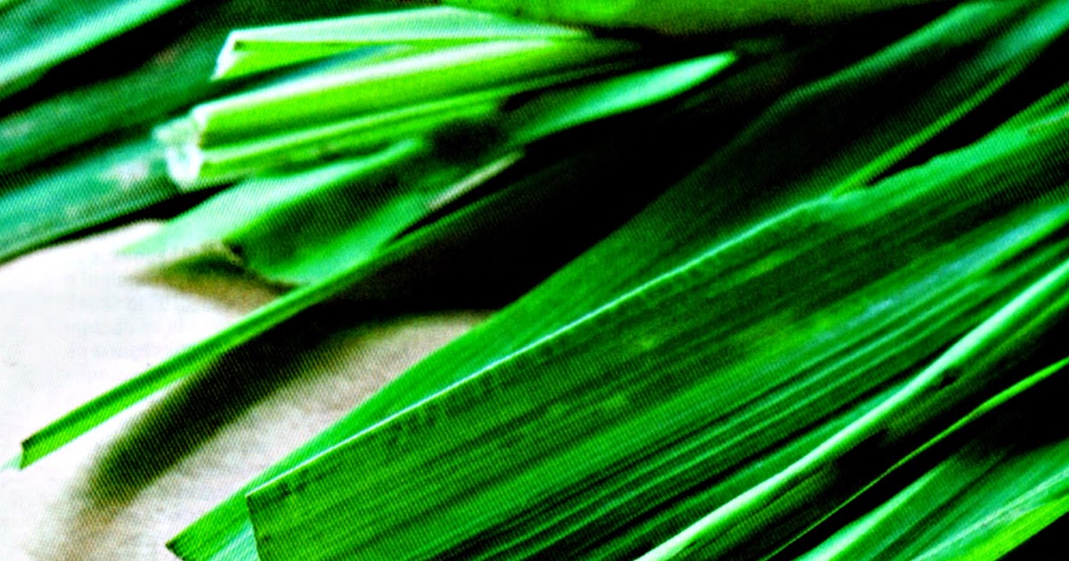 Limoncillo y sus propiedades