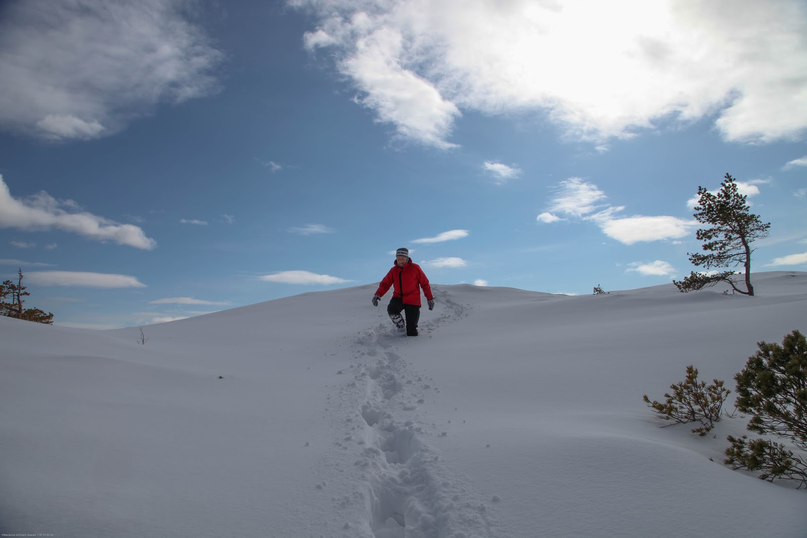 Kompassrosa : " Et hav av muligheter " i Averøy