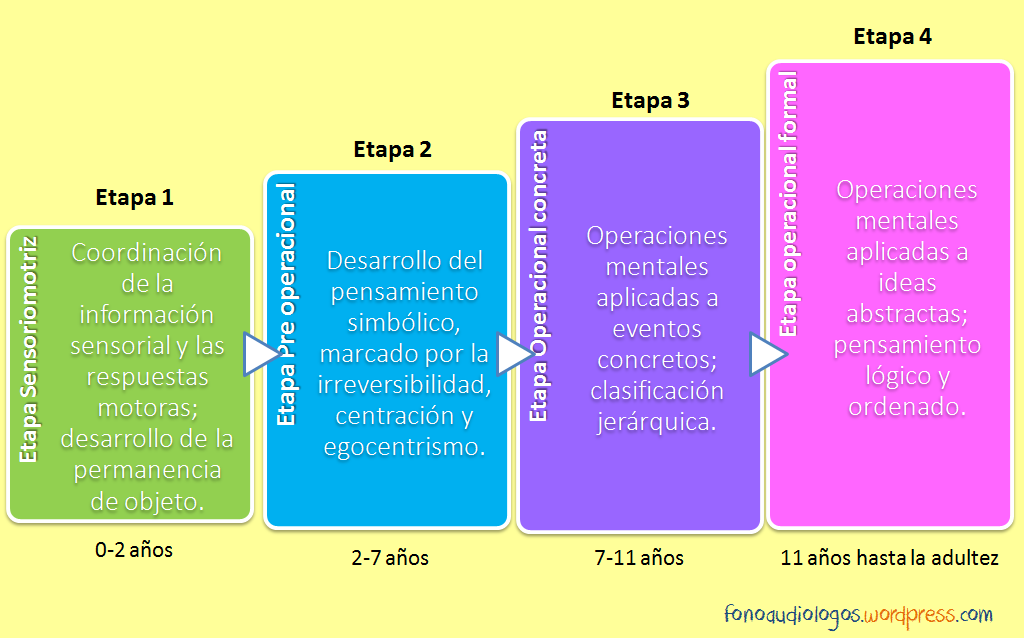 ETAPAS DE LA TEORIA DE PIAGET ️ Mentalidad Humana