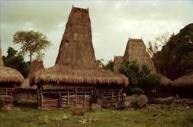 Rumah Adat Sumba | Mengenal Budaya di Indonesia