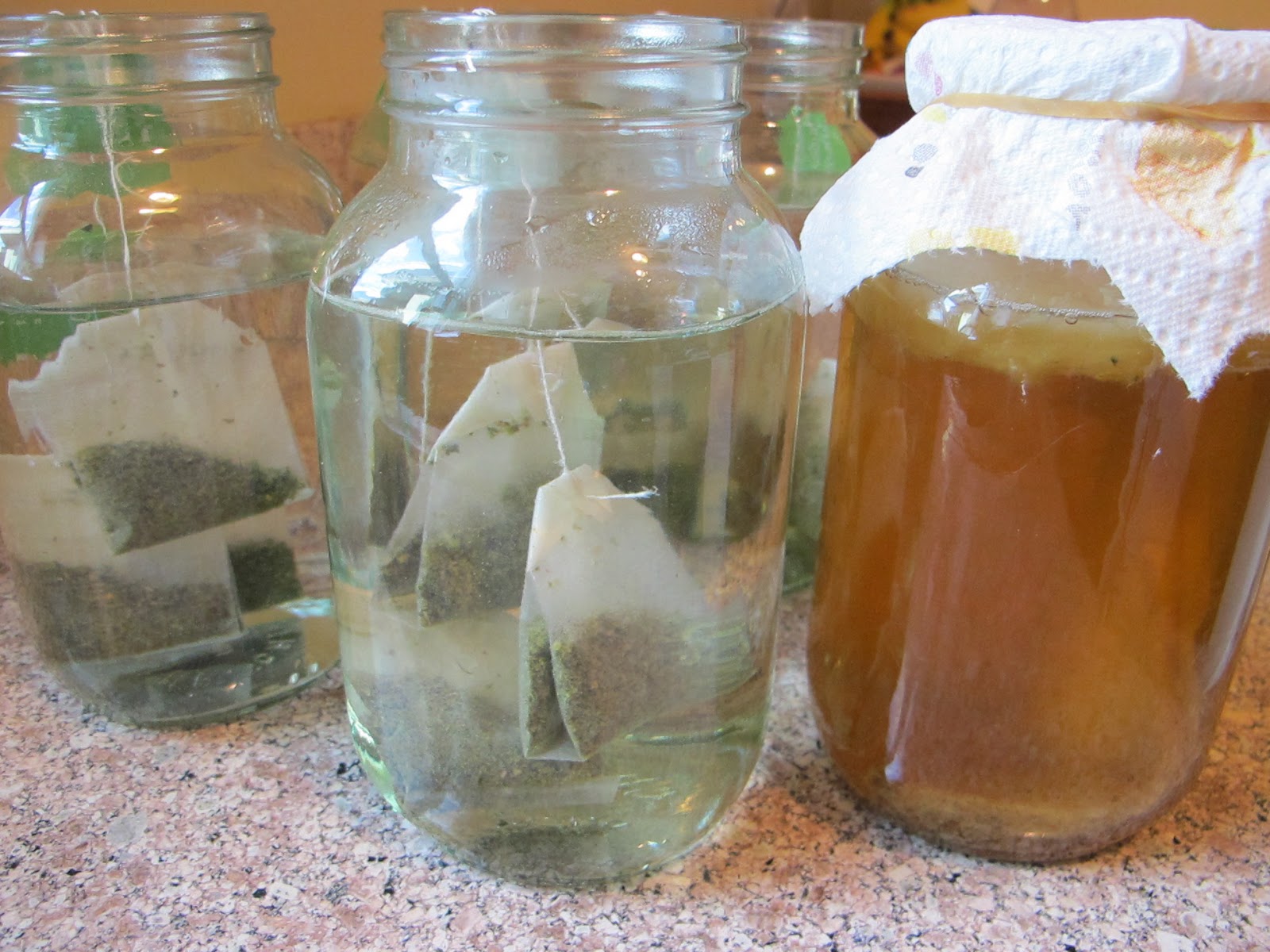 Making Kombucha at Home is Easy - Munchie Musings