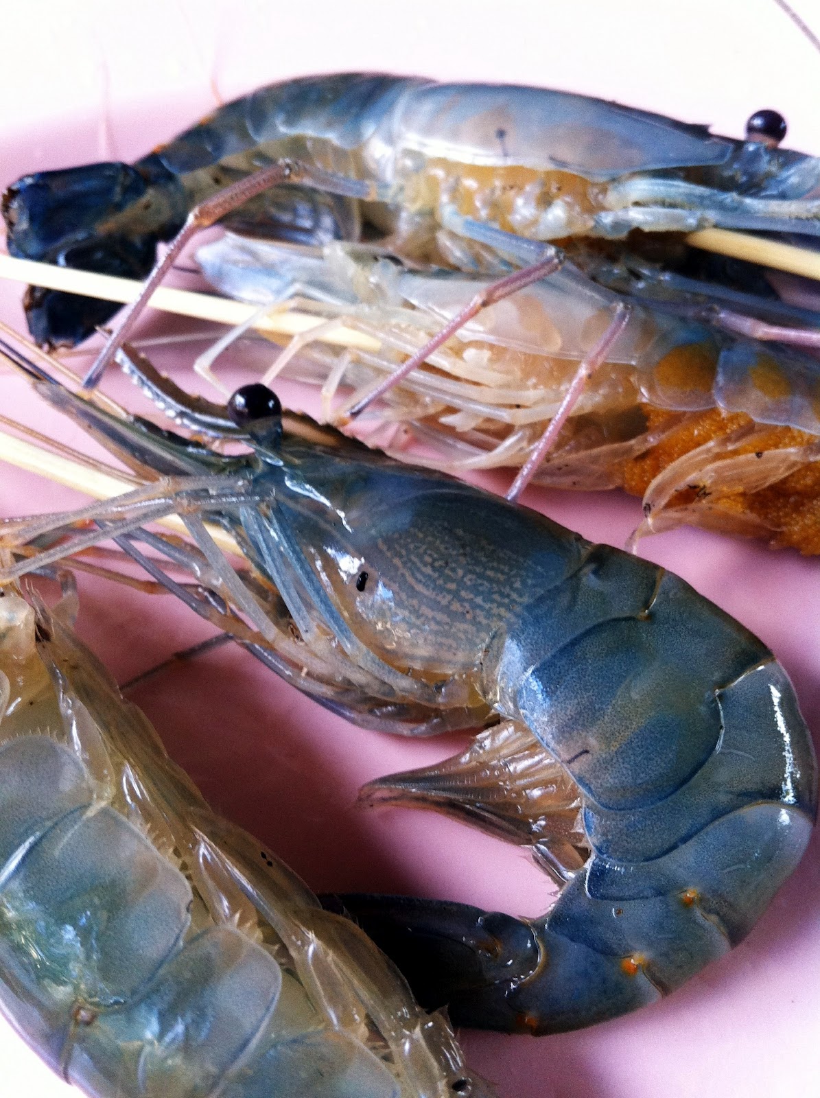 Dawn Lee: Hai Bin Prawning