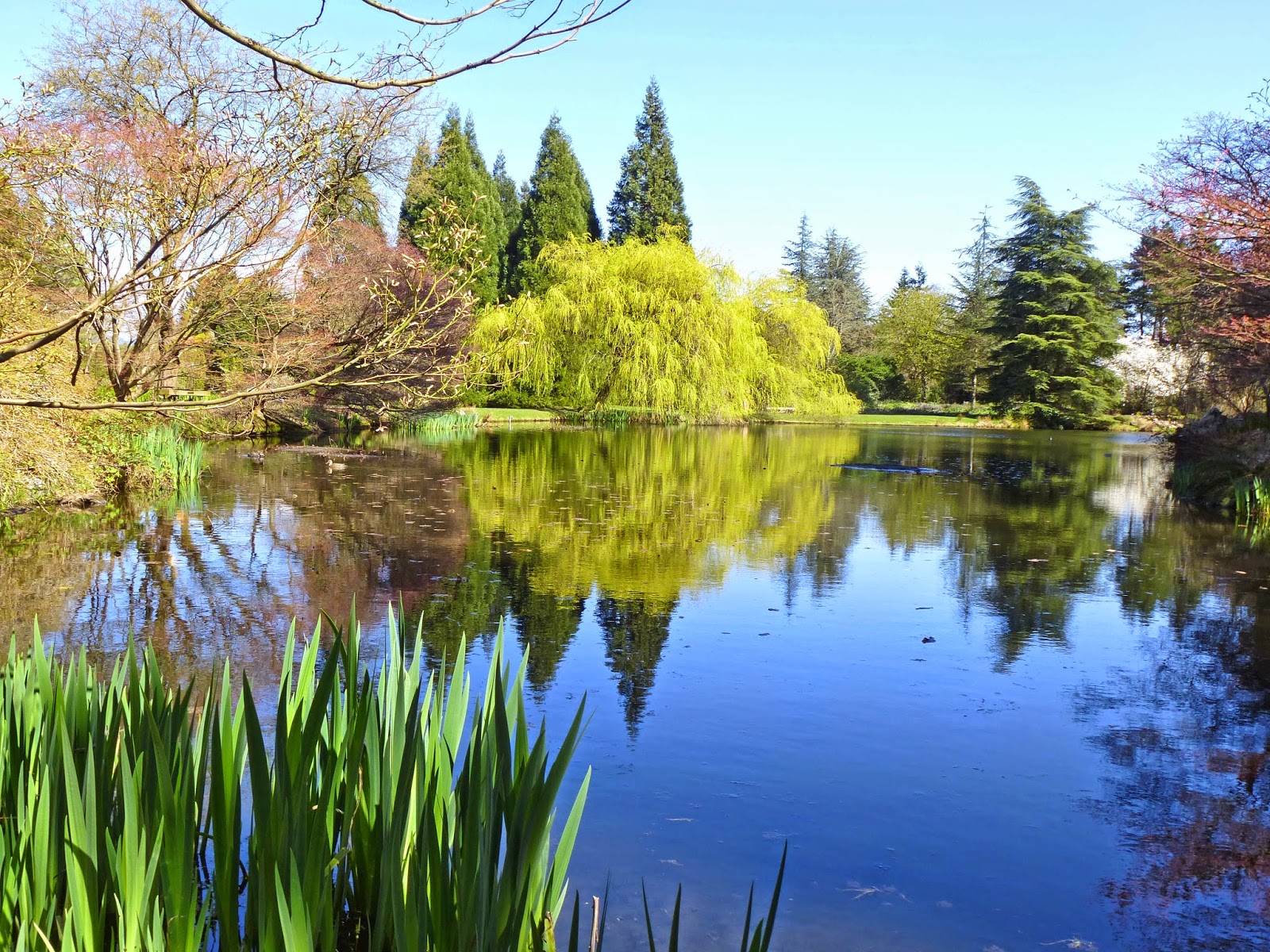 Van Dusen Botanical Garden Vancouver Bc