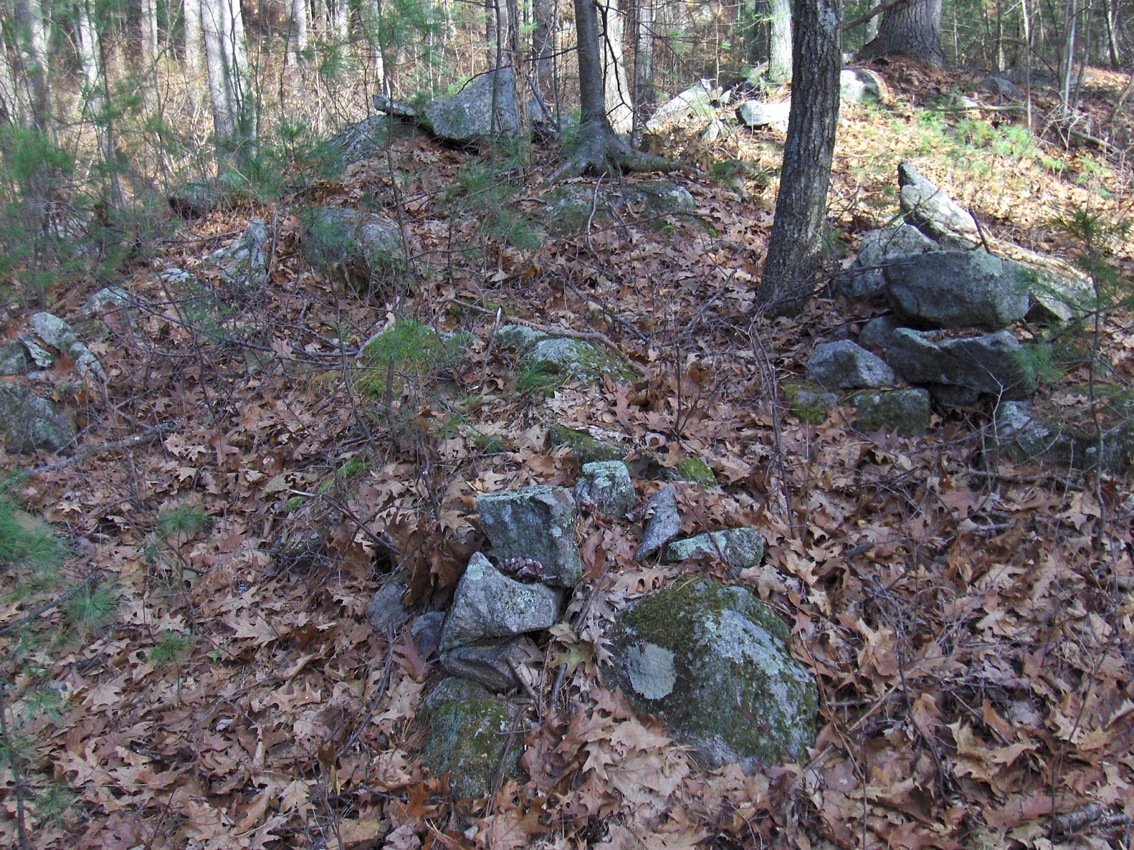 Rock Piles: Southern part of East Woods, Boylston