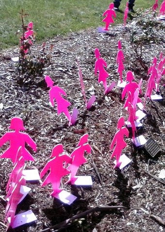 Pink Lady Day observed - New Norfolk News