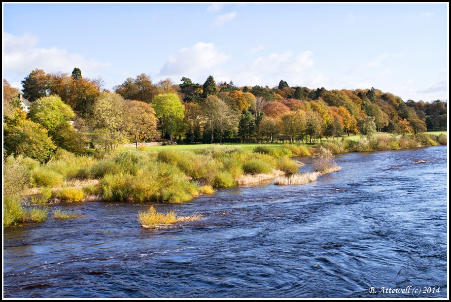 Bryan's Photo Blog: River Tyne Walk - Riding Mill to Corbridge