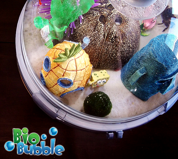 Momma Told Me: Blog POP! Bio Bubble Pets Aquarium Review + Premium Bio ...
