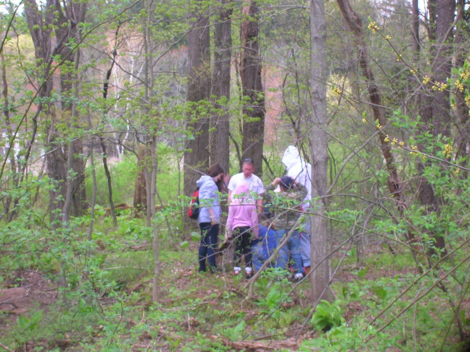 Small Stream Reflections: May 2011