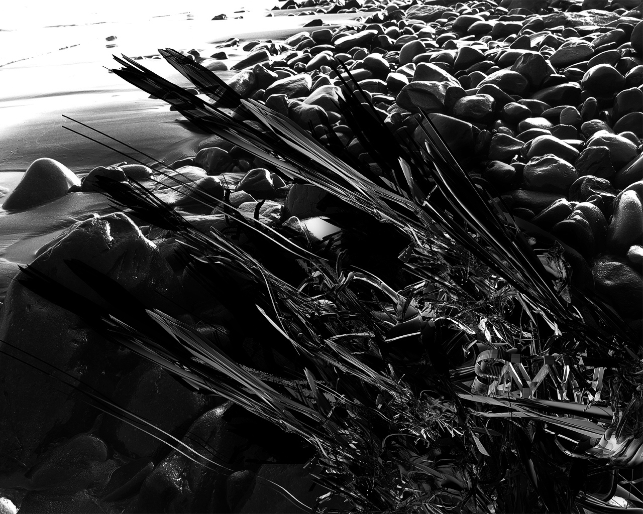 Savant Black Wallpapers - Best Desktop Backgrounds