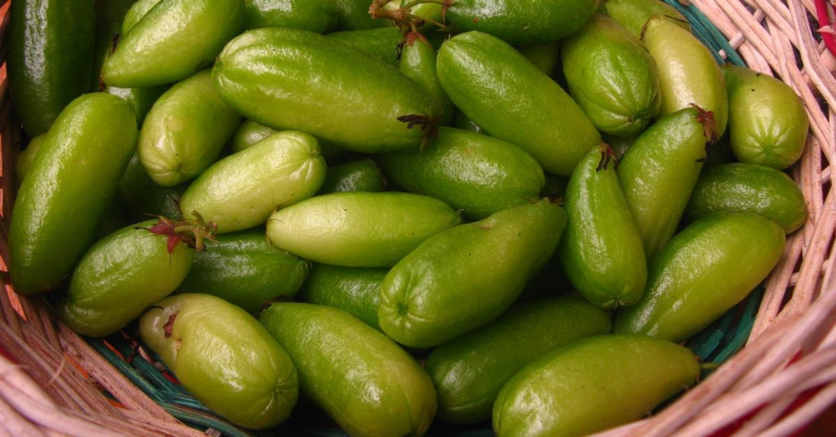 7 Amazing Health Benefits of Kamias