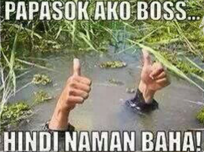 Lakwatserang Geologist: Entry 5 - "BAHA PO SER"