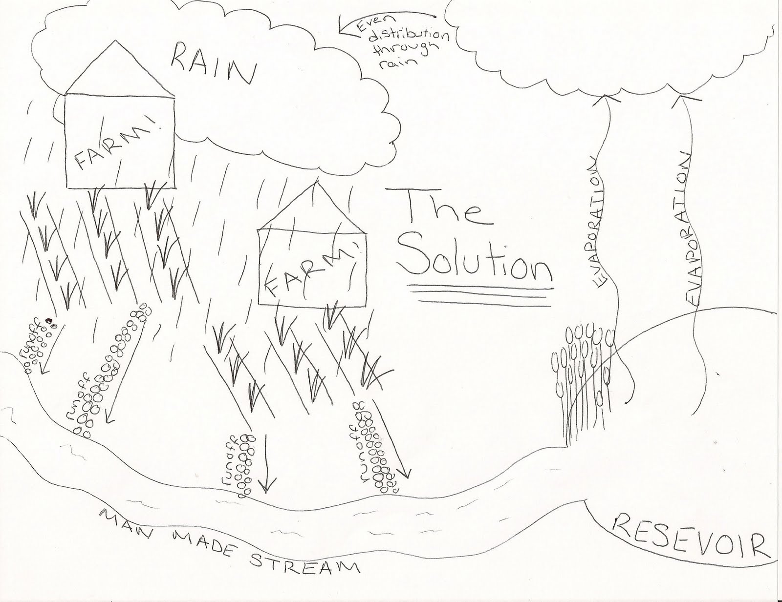 The Fertilizer Runoff Problem