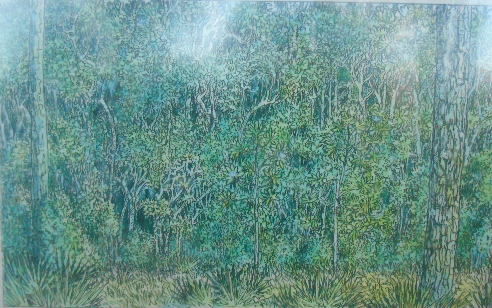 Bob & Sharon'sTravel Adventures: Apalachicola NF - 11/30/15 - Sumatra, FL