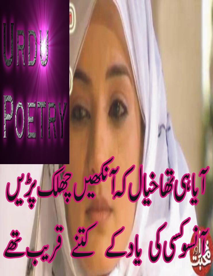 Sher O Shari Pic's - CoOl AnD StYlIsH Dp On Fb