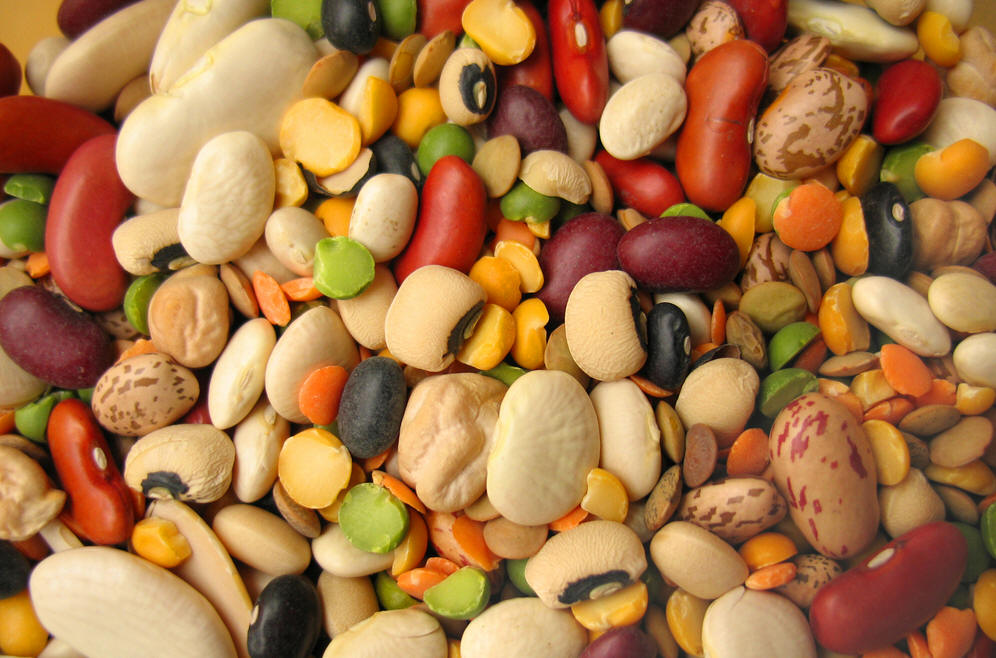 A Healthy Mind In A Healthy Body: Planning diet for Native American