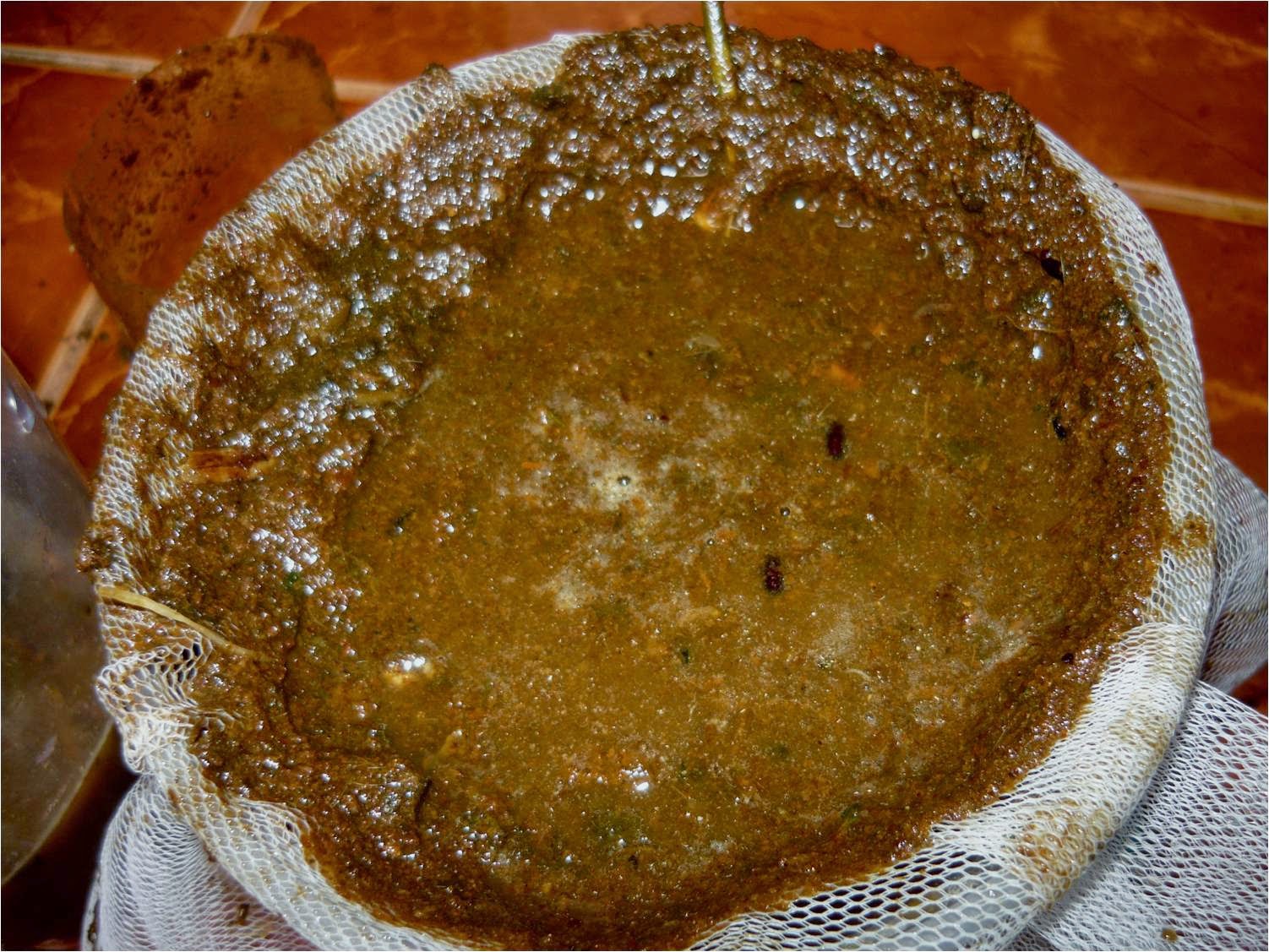 ALTERNATIVA ECOLÓGICA: ELABORACIÓN DE BIOL CASERO