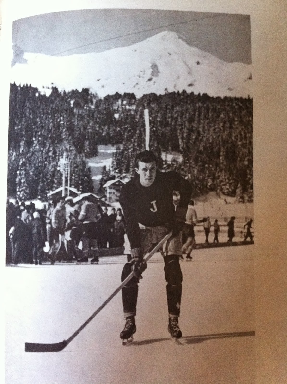 Muzeul De Hochei: January 2014