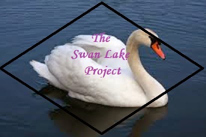 Fairy Tale Fandom: The Swan Lake Project: Part 1