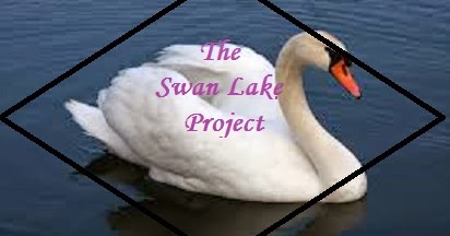 Fairy Tale Fandom: The Swan Lake Project: Part 1