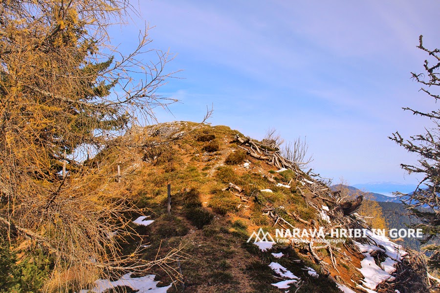 Narava hribi in gore: Jerebičje 1762 m