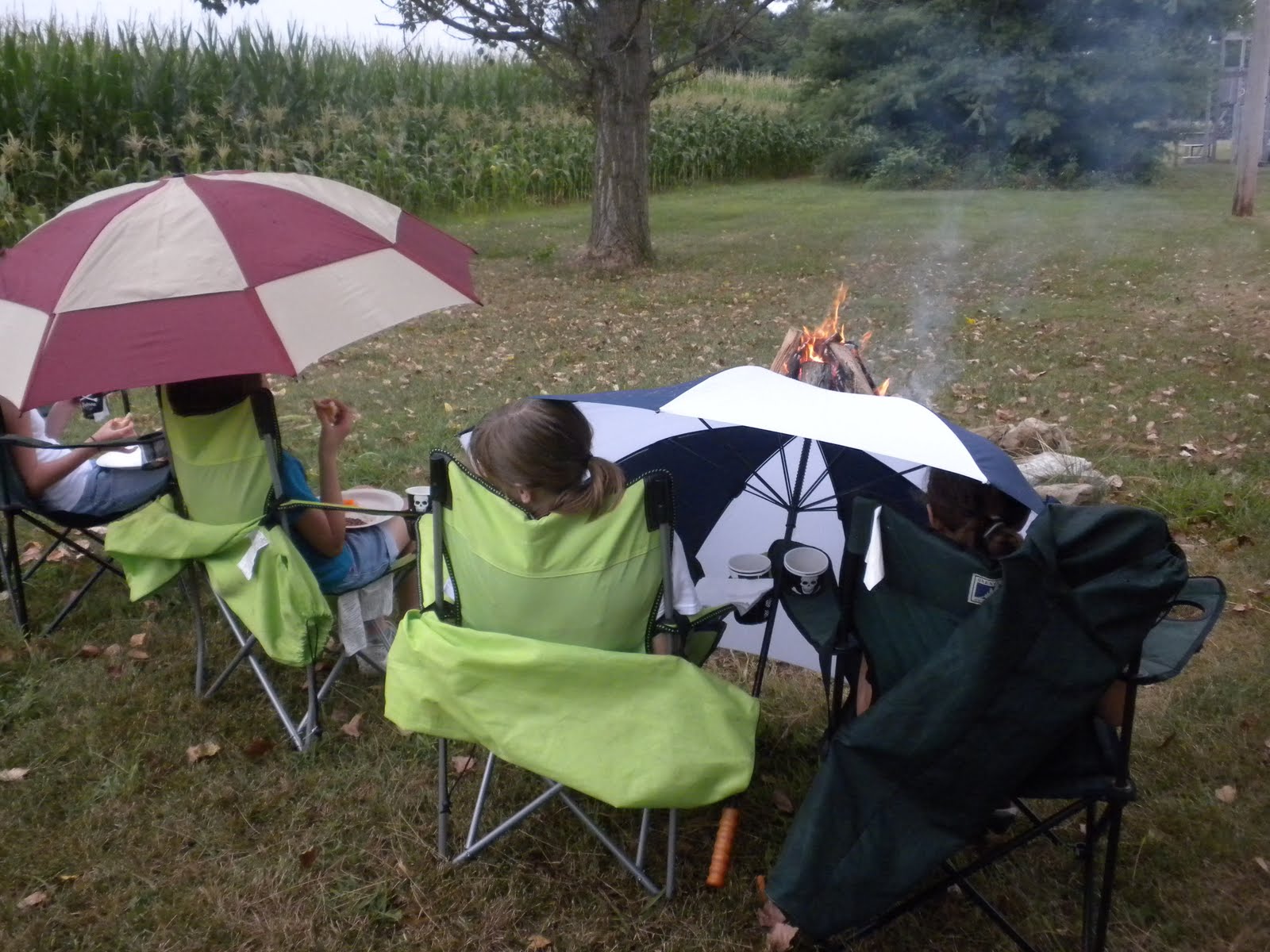 Who Is The Grown Up?: Roasting Hot Dogs in the Rain--This is What ...
