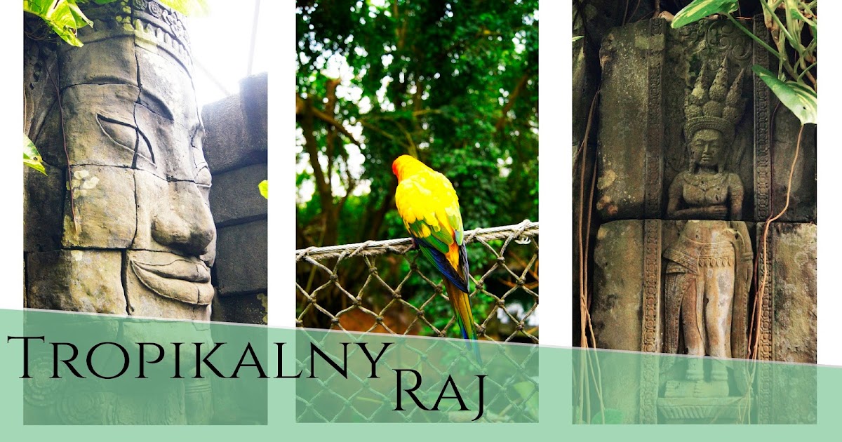 Clauditta: Tropikalny Raj