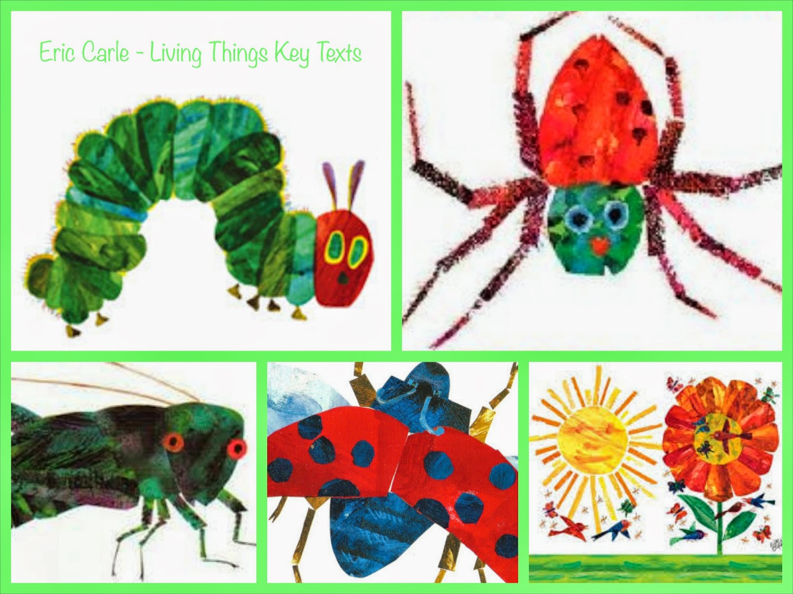 teacher types: Author Study | The World Of Eric Carle