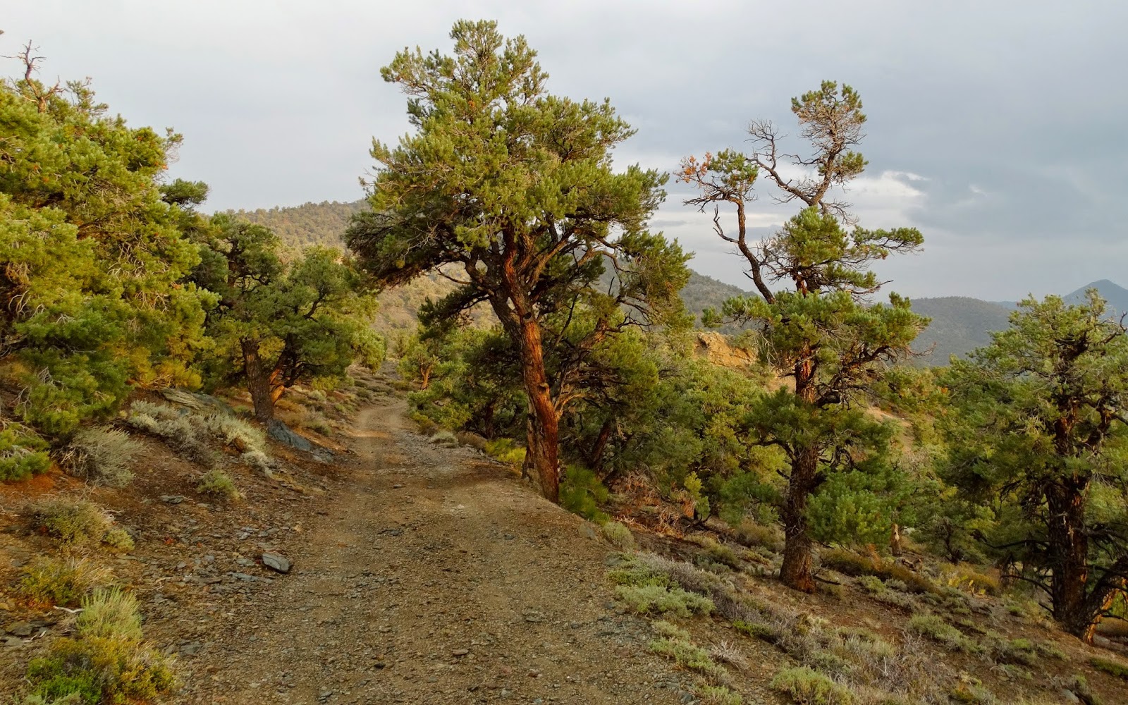 Our Four Wheel Camper: Grandview Camp, White Mountains - "A burst of ...
