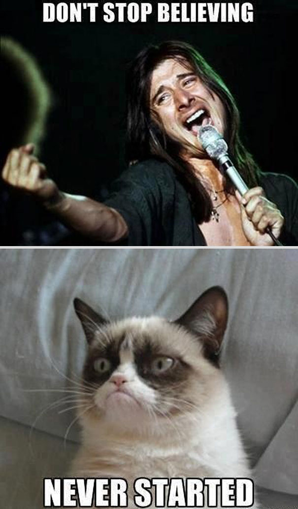 Grumpy Cat Classic Wine Velvet
