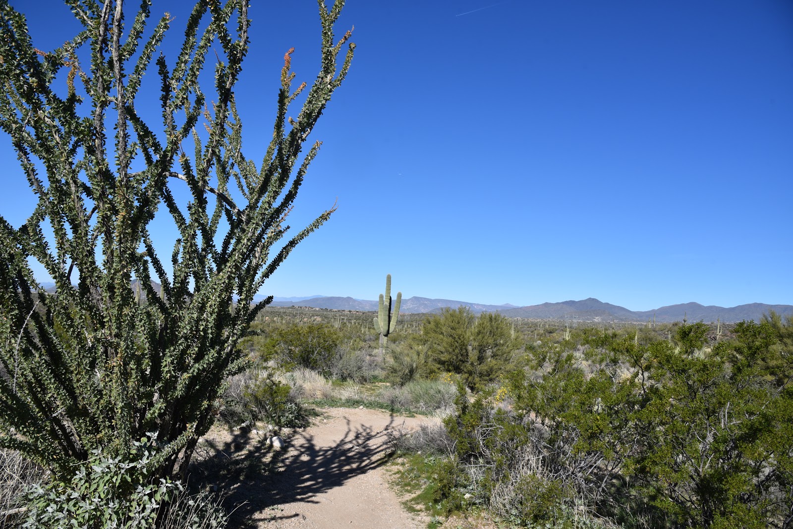 Arizona Hiking: BASALT RIDGE OVERLOOK