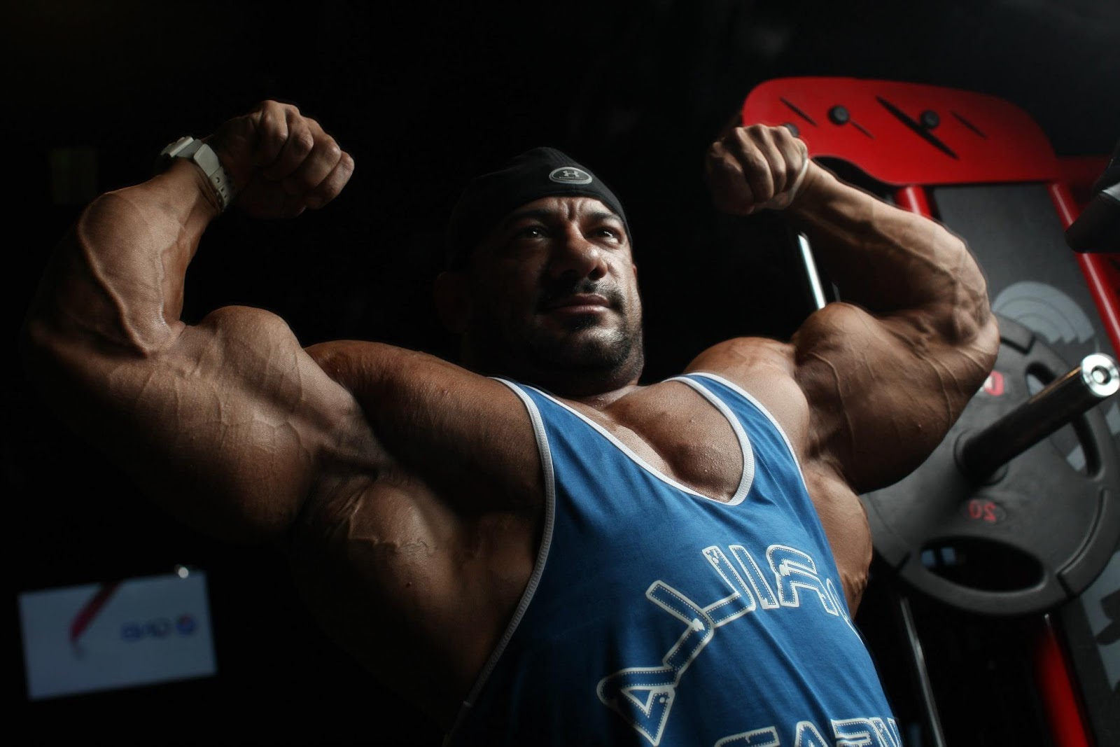 Muscle Lover: Anwar El Sayed