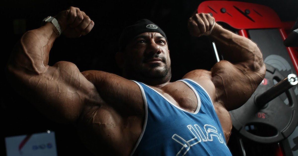 Muscle Lover: The incredible Anwar El Sayed!