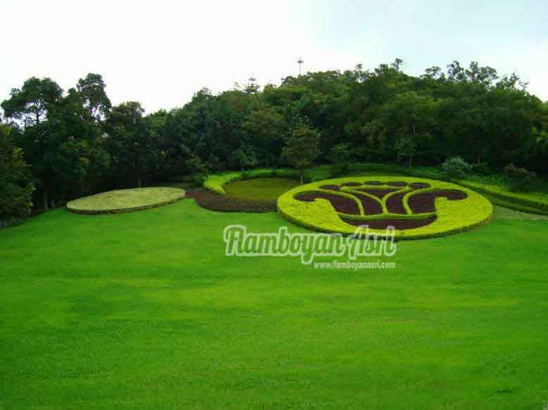 7 Jenis Rumput Bagus Untuk Taman Lanskap (Landscape) - TUKANG TAMAN ...