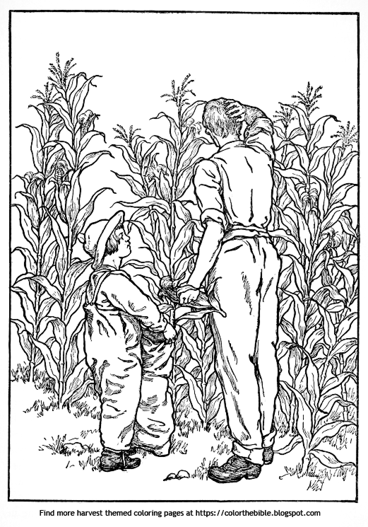 Three harvest coloring pages | Color The Bible