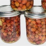 FOOD PRESERVING: PICKLING RECIPES
