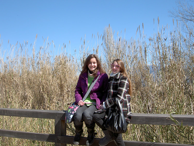 ΠΕΡΙΒΑΛΛΟΝ ΥΓΕΙΑ ΟΙΚΟΛΟΓΙΑ: ΠΕΡΙΒΑΛΛΟΝΤΙΚΗ ΕΚΠΑΙΔΕΥΣΗ:ΕΚΔΡΟΜΗ ΤΟΥ ...