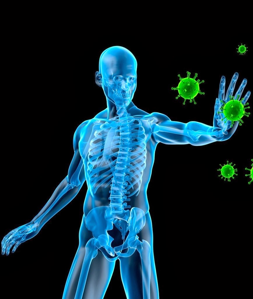 SEXTO GRADO GRUPO "D".: SISTEMA INMUNOLÓGICO. SEXTO GRADO PRIMER BLOQUE.