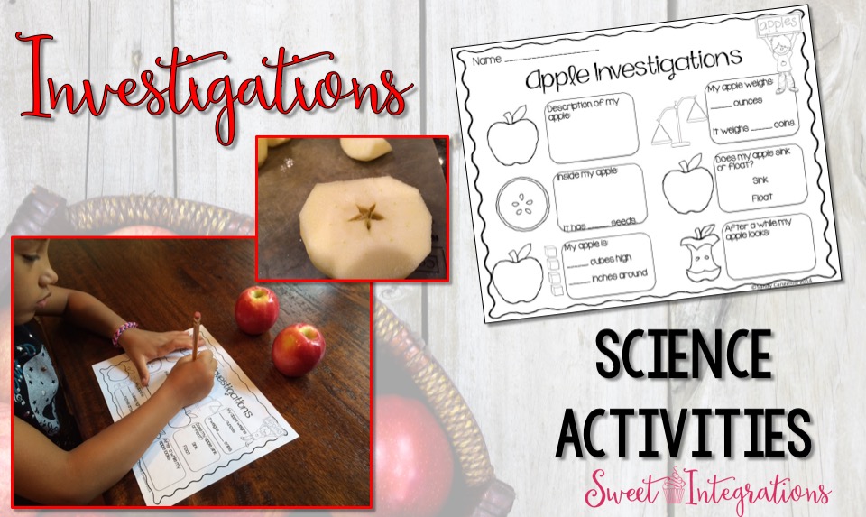 Apples to the Core: Apple Life Cycle With Freebie | Sweet Integrations