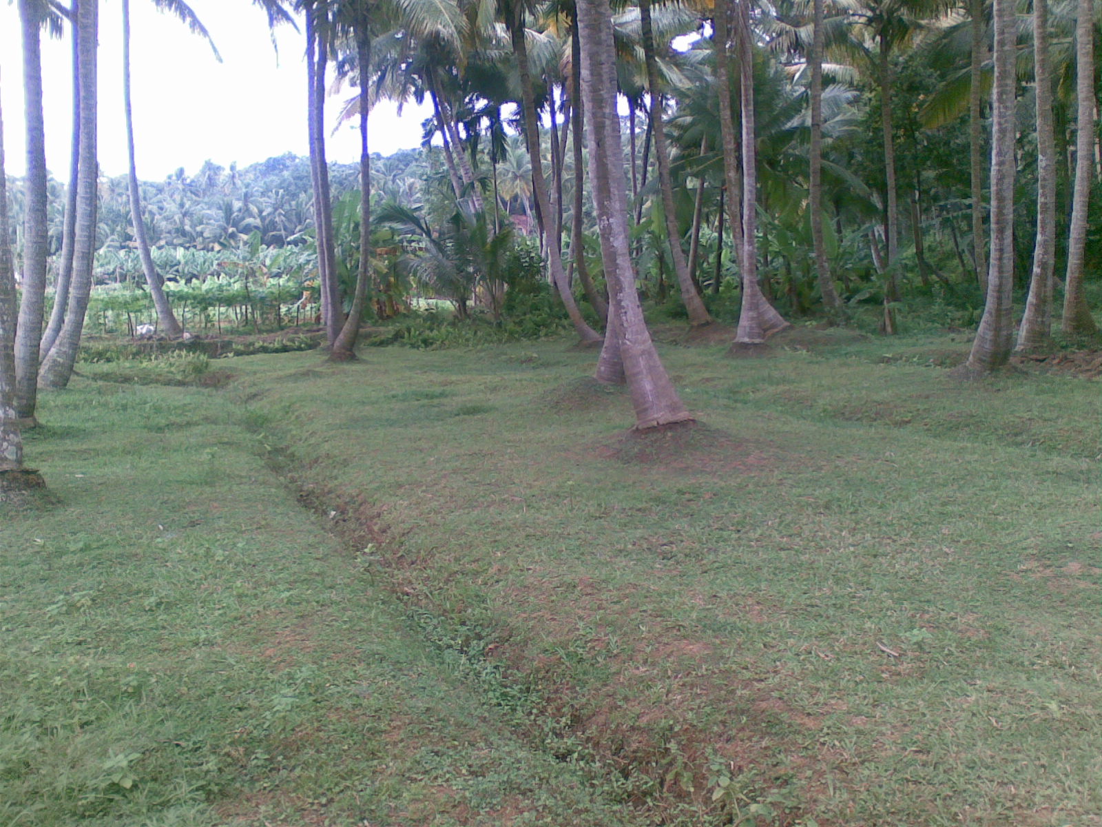 KOLLEMCODE ONLINE: Photo Gallery