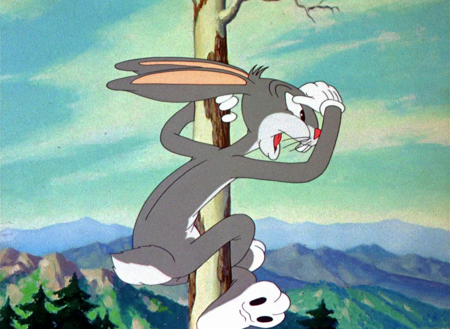 Tortoise Beats Hare - cartoon characters