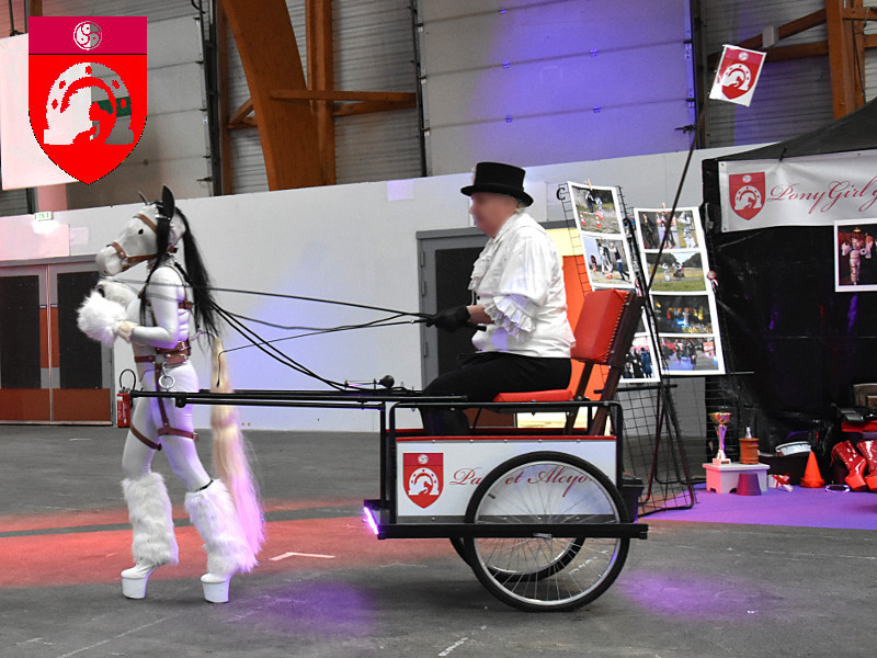 PonyGirl grand Ouest: Suite de la création d’une liste de diffusion des ...